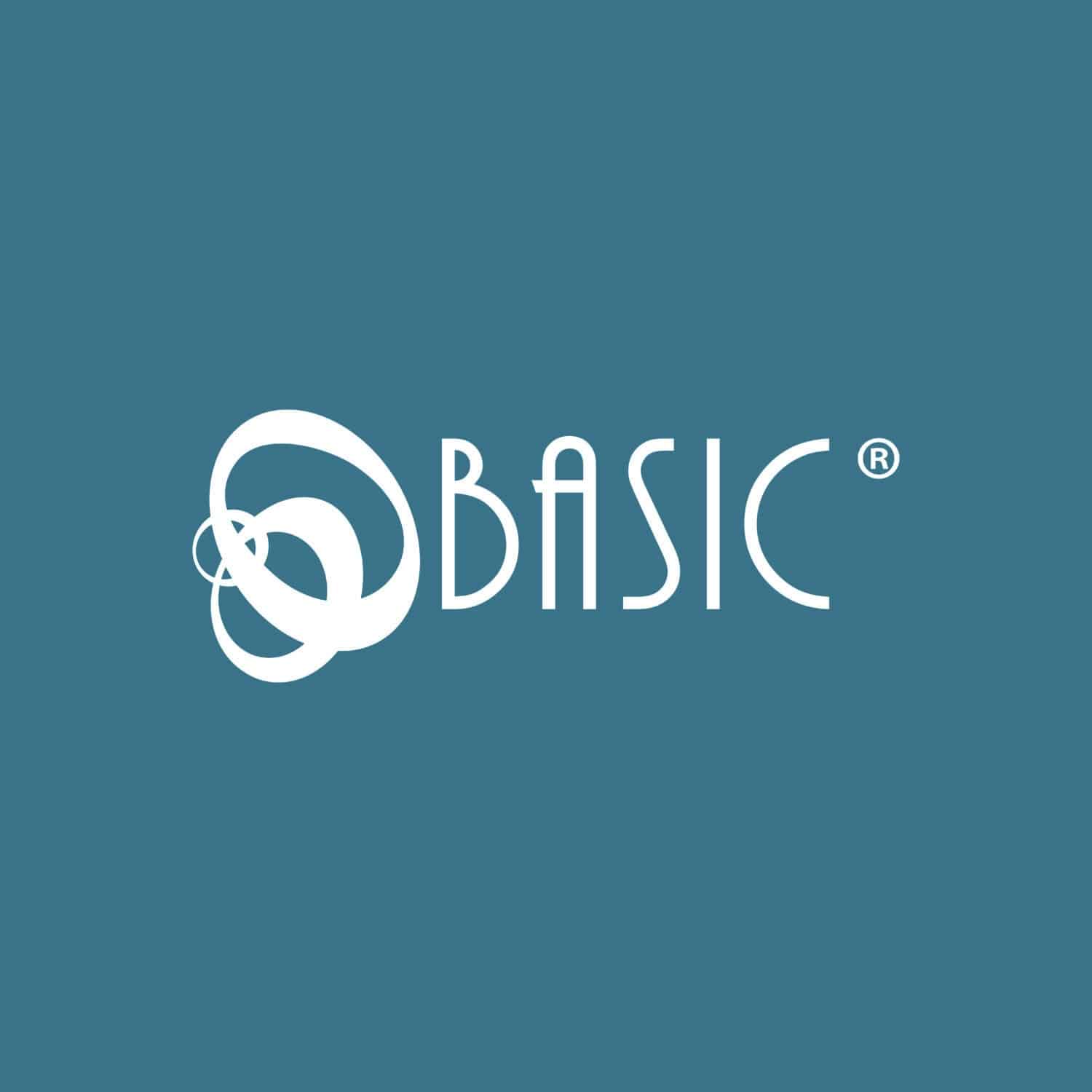 BASIC Appoints Robert Hayes as New President & CEO | BASIC
