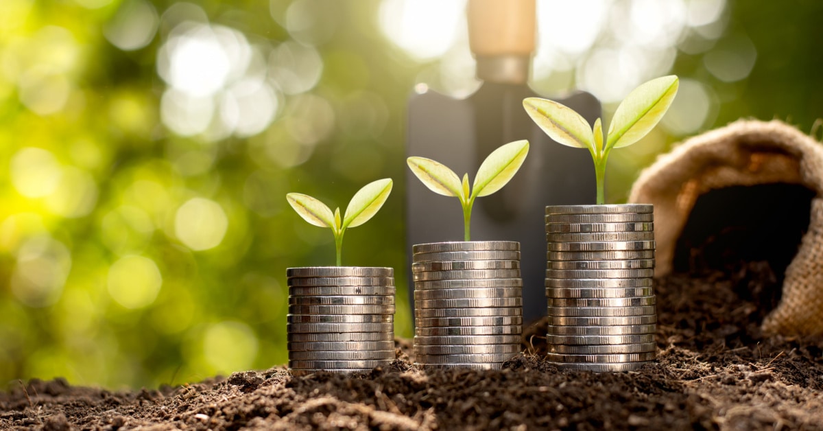 Financial Wellness Strategies to Make Up for Lost Ground During the ...